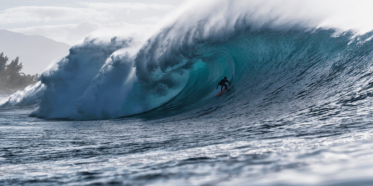 Protekt’s Mark Healey takes 1st Place in Wave of the Winter!