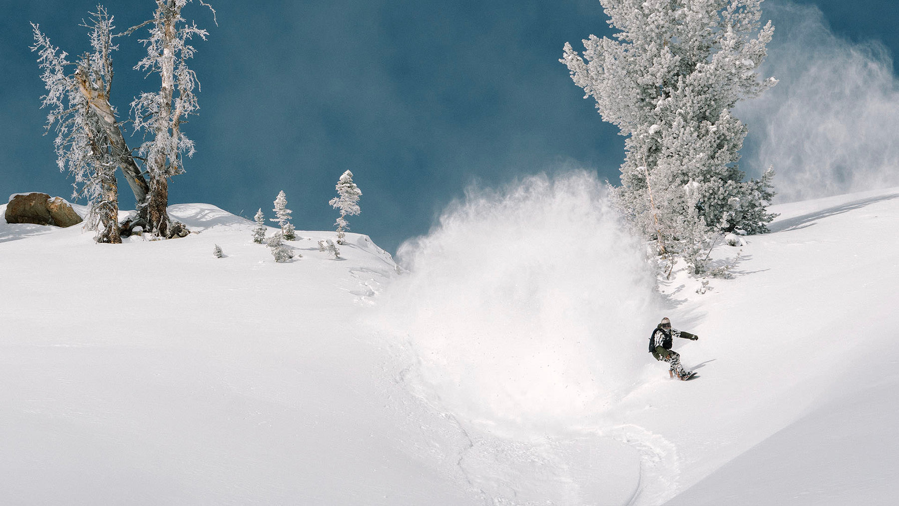 Natural Liquid Supplements & Highly Moisturizing Sunscreen | Protekt